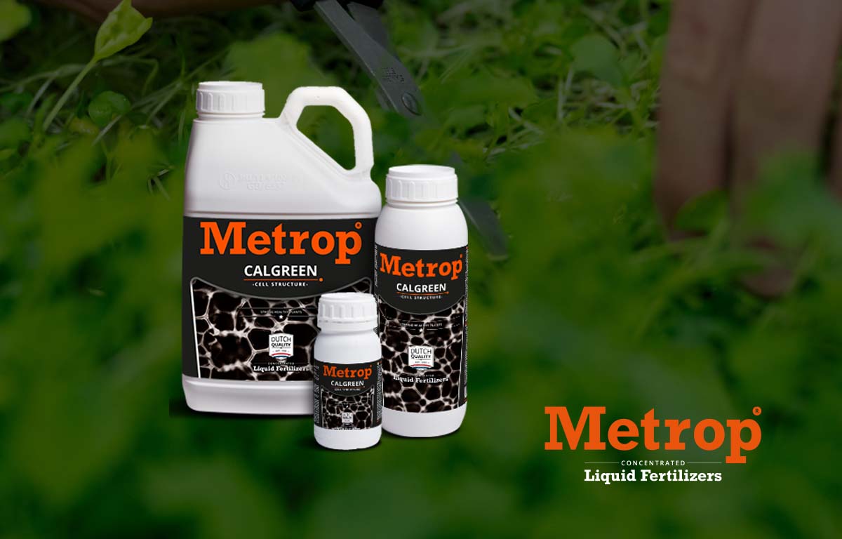 CALGREEN ปุ๋ยแคลเซียม/แมกนีเซียม | METROP